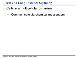 chapter11_cell_communication CELL TO CELL SIGNALLING | PPT