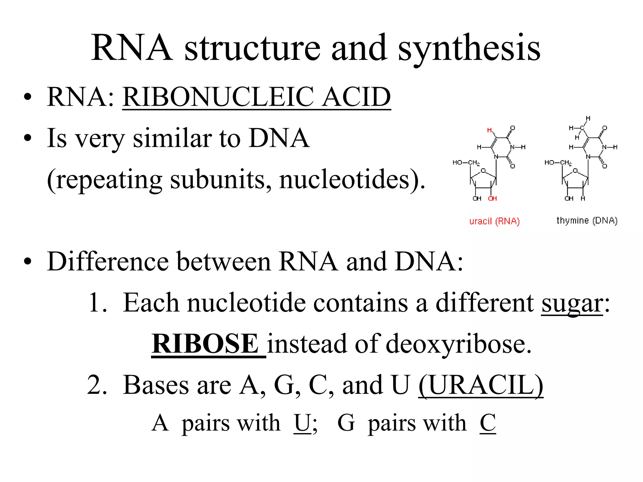 Chapter 11 DNA Strucuture and Replication RNA and Protien Synthesis ...