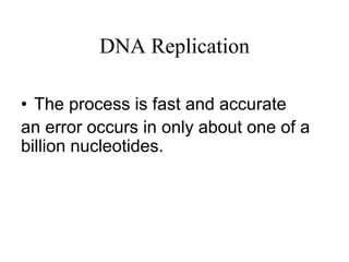 Chapter 11 DNA Strucuture and Replication RNA and Protien Synthesis ...