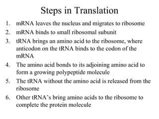 Chapter 11 DNA Strucuture and Replication RNA and Protien Synthesis ...