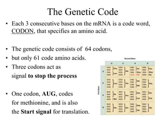 Chapter 11 DNA Structure and Replication RNA and Protien Synthesis 2017.ppt