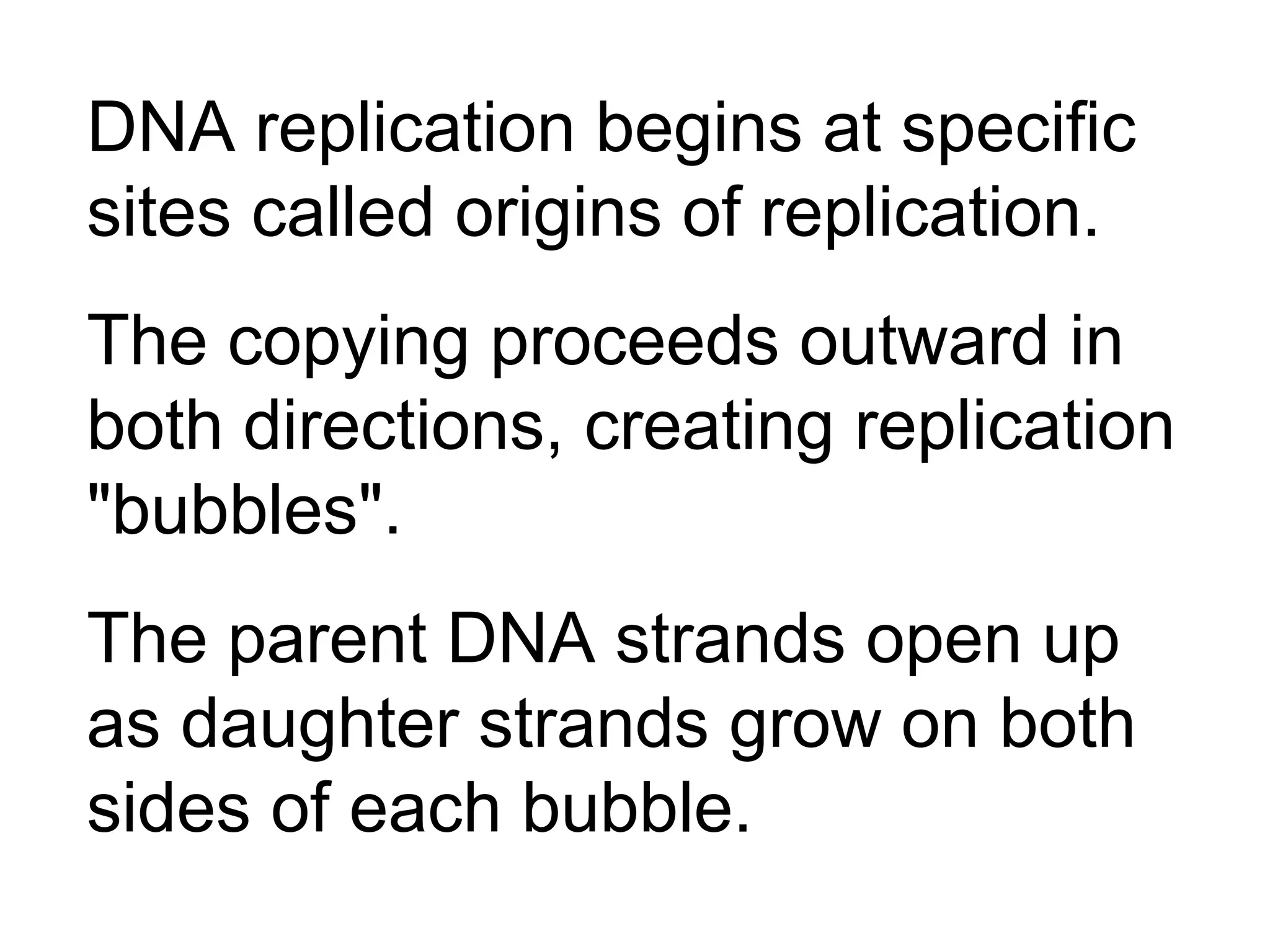 Chapter 11 DNA Strucuture and Replication RNA and Protien Synthesis ...