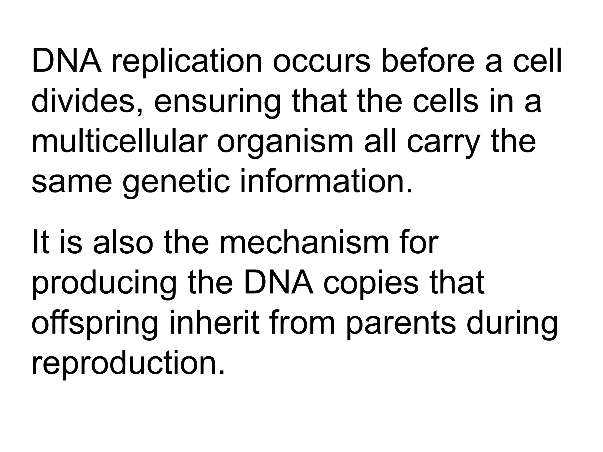 Chapter 11 DNA Strucuture and Replication RNA and Protien Synthesis ...