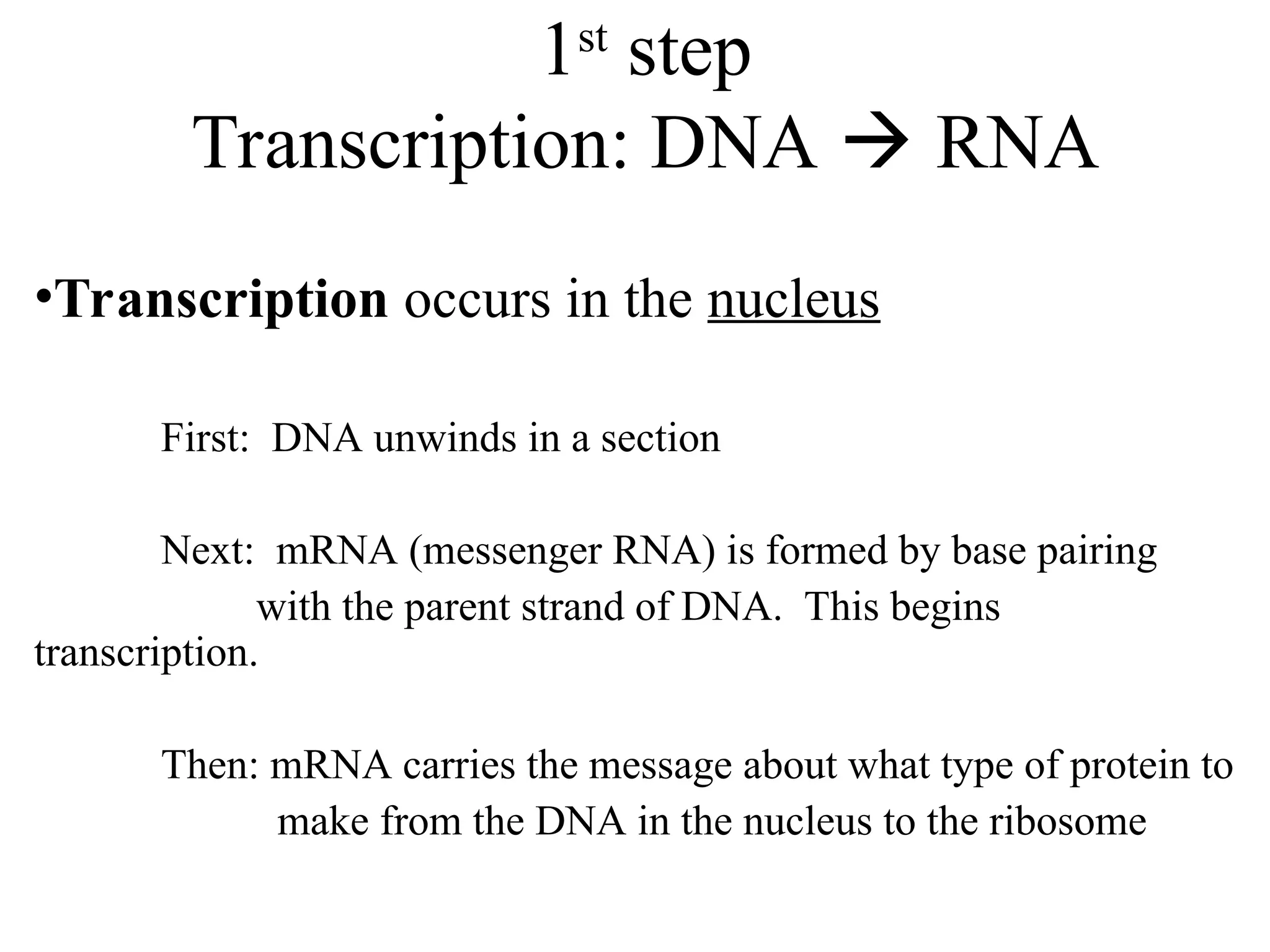 Chapter 11 DNA Strucuture and Replication RNA and Protien Synthesis ...