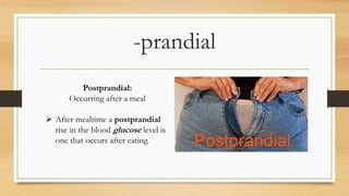 Chapter 11 h presentation | PPTX