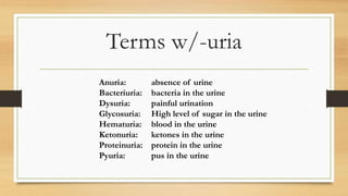Chapter 11 h presentation | PPTX