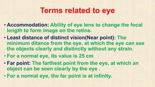 Chapter 11 Human Eye and Colourful World (2).pptx