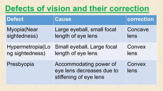 Chapter 11 Human Eye and Colourful World (2).pptx