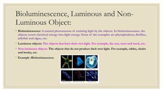 Chapter 11 Light Shadow and Reflection.pptx