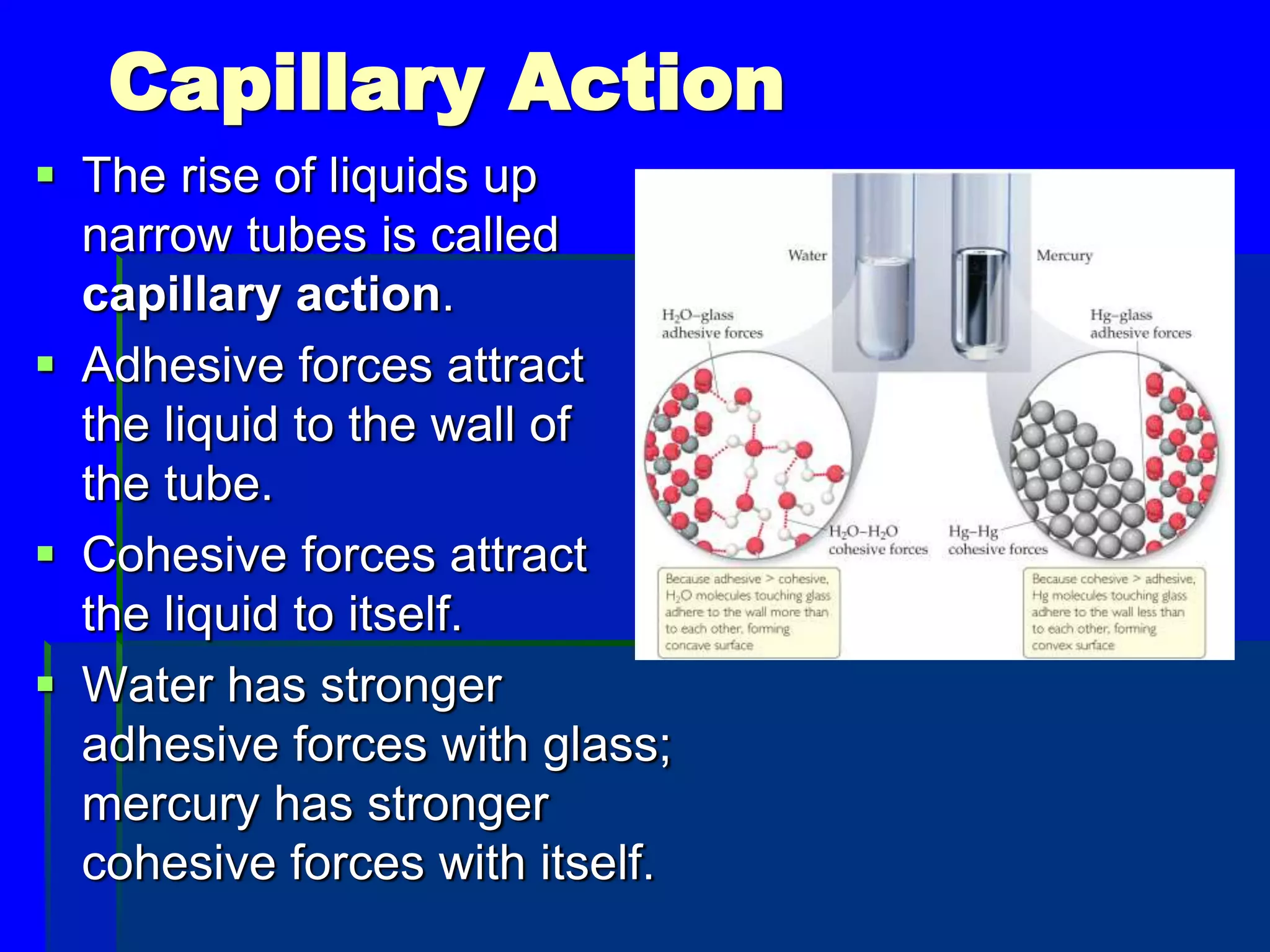 Chapter 11 liquids and intermolecular forces Powerpoint | PPT