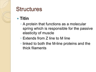 part 7 A1 | PPT | Free Download