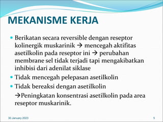 Chapter 11OBAT ANTIKOLINERGIK .ppt