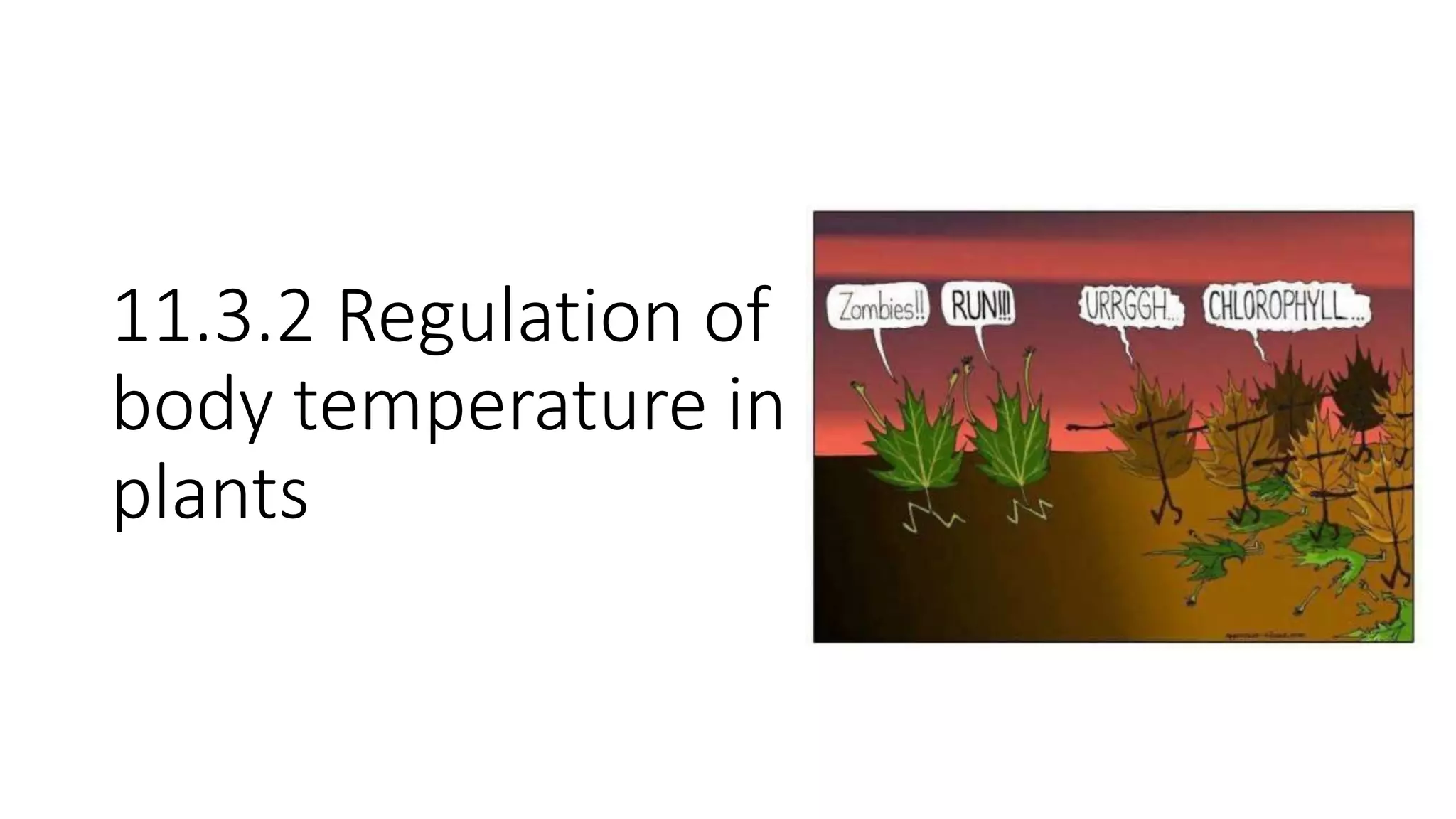 独中高中生物Chapter 11 Part 3 Temperature regulation | PPT