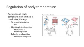 独中高中生物Chapter 11 Part 3 Temperature regulation | PPT