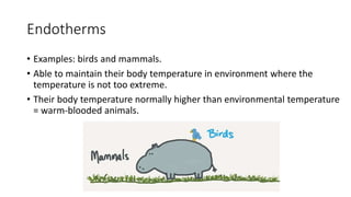 独中高中生物Chapter 11 Part 3 Temperature regulation | PPT