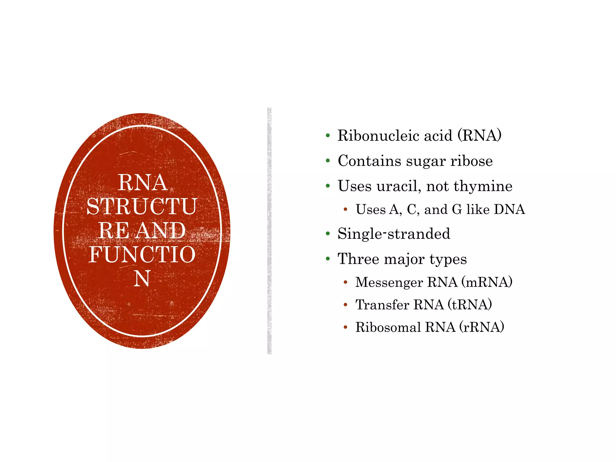 Chapter 11 DNA Biology | PPT