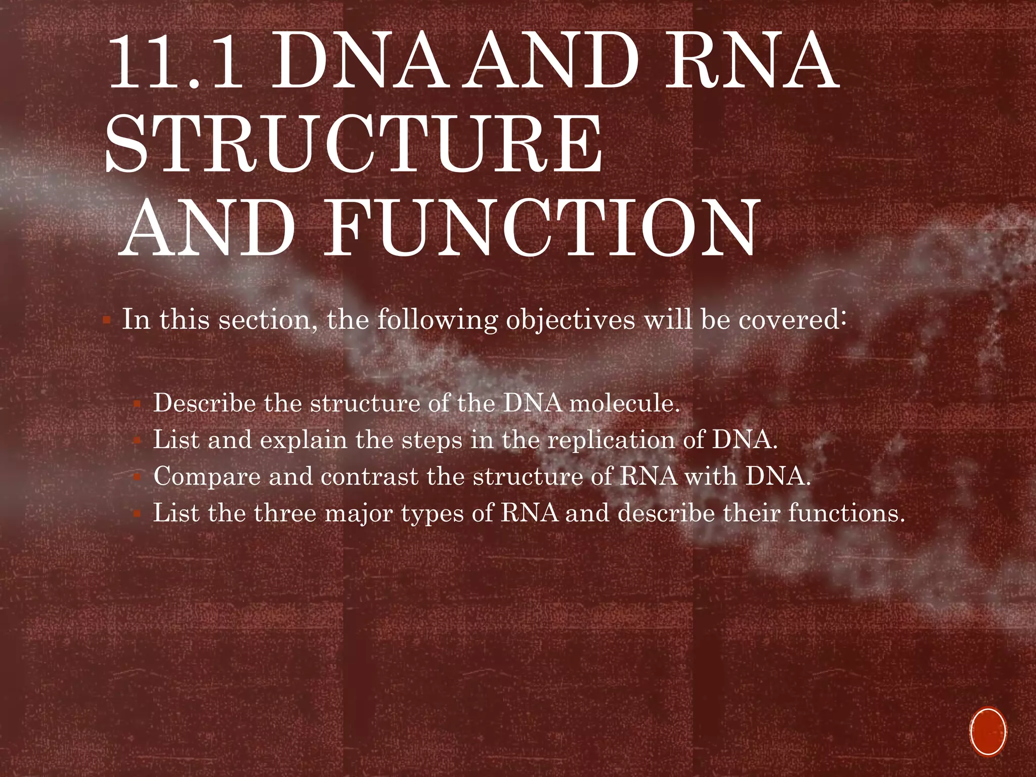 Chapter 11 DNA Biology | PPT