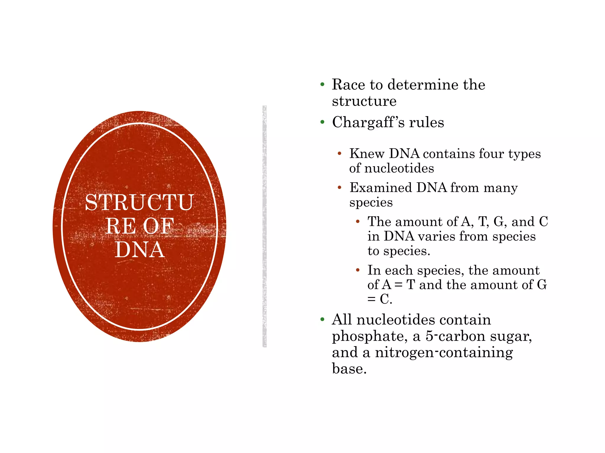 Chapter 11 DNA Biology | PPT