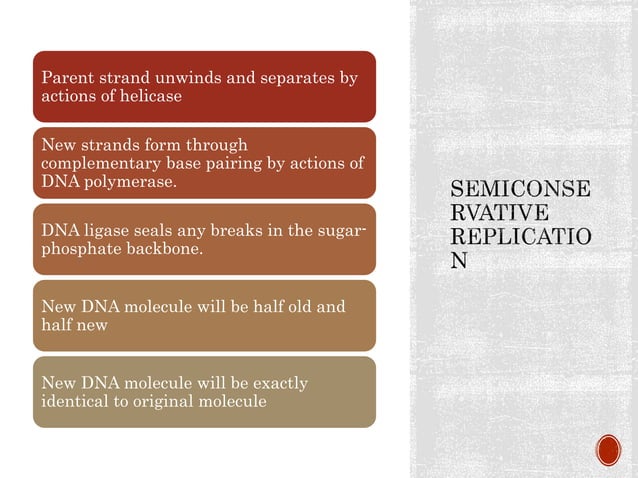 Chapter 11 DNA Biology | PPT