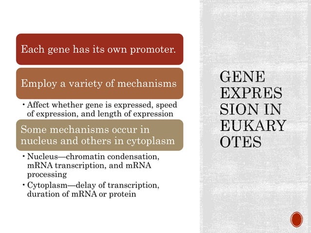 Chapter 11 DNA Biology | PPT