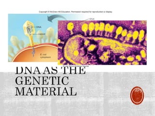 Chapter 11 DNA Biology | PPTX