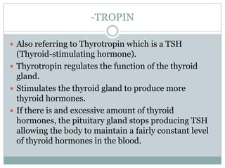 Chapter 11 pp suffix's | PPTX