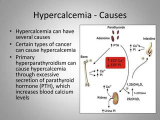 Chapter 11 presentation | PPT