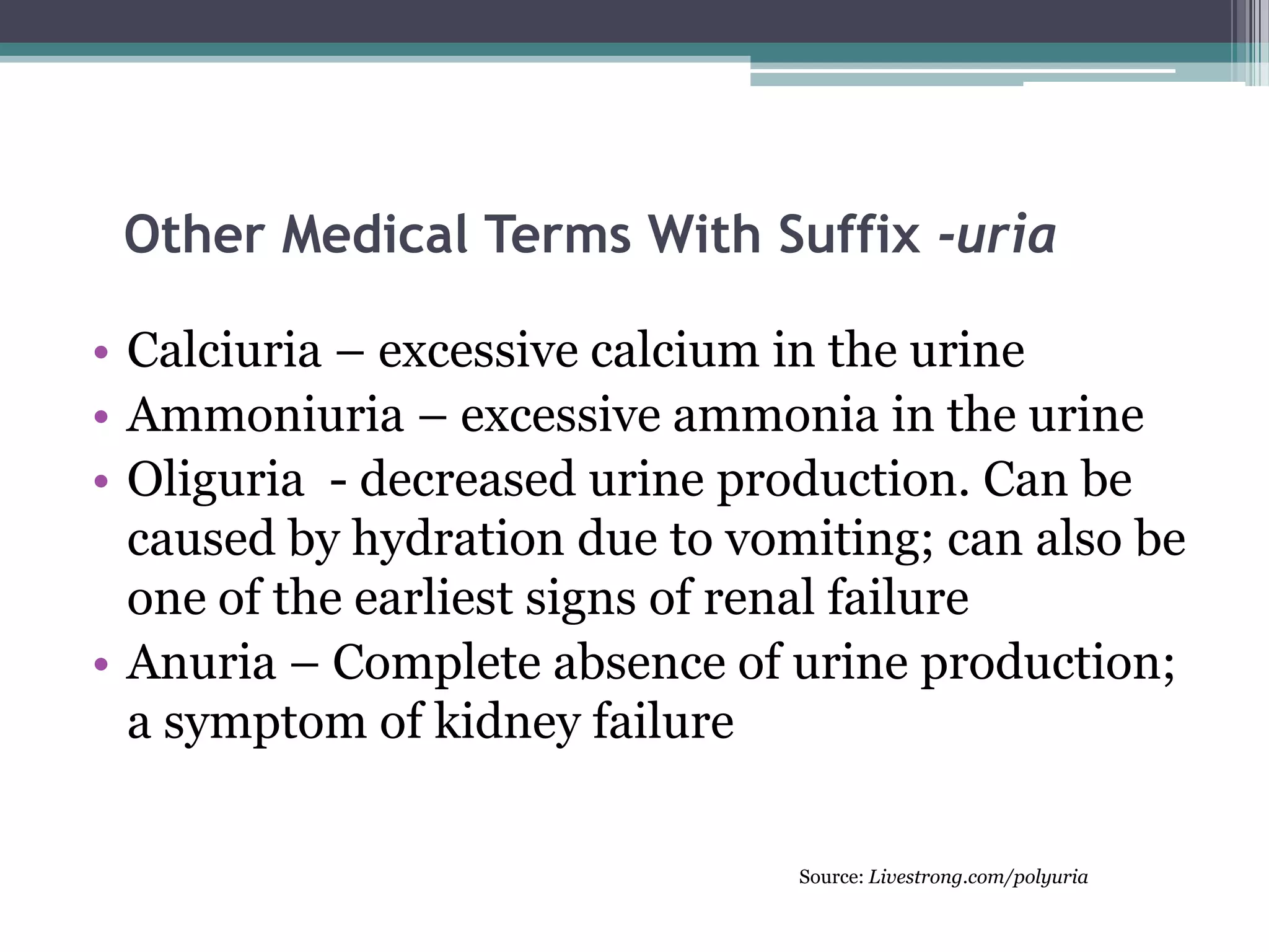 Chapter 11 presentation | PPTX