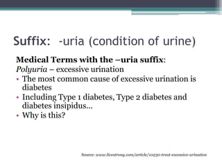 Chapter 11 presentation | PPTX