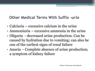 Chapter 11 presentation | PPTX