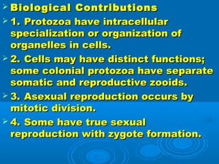 Chapter 11 protozoa | PPT