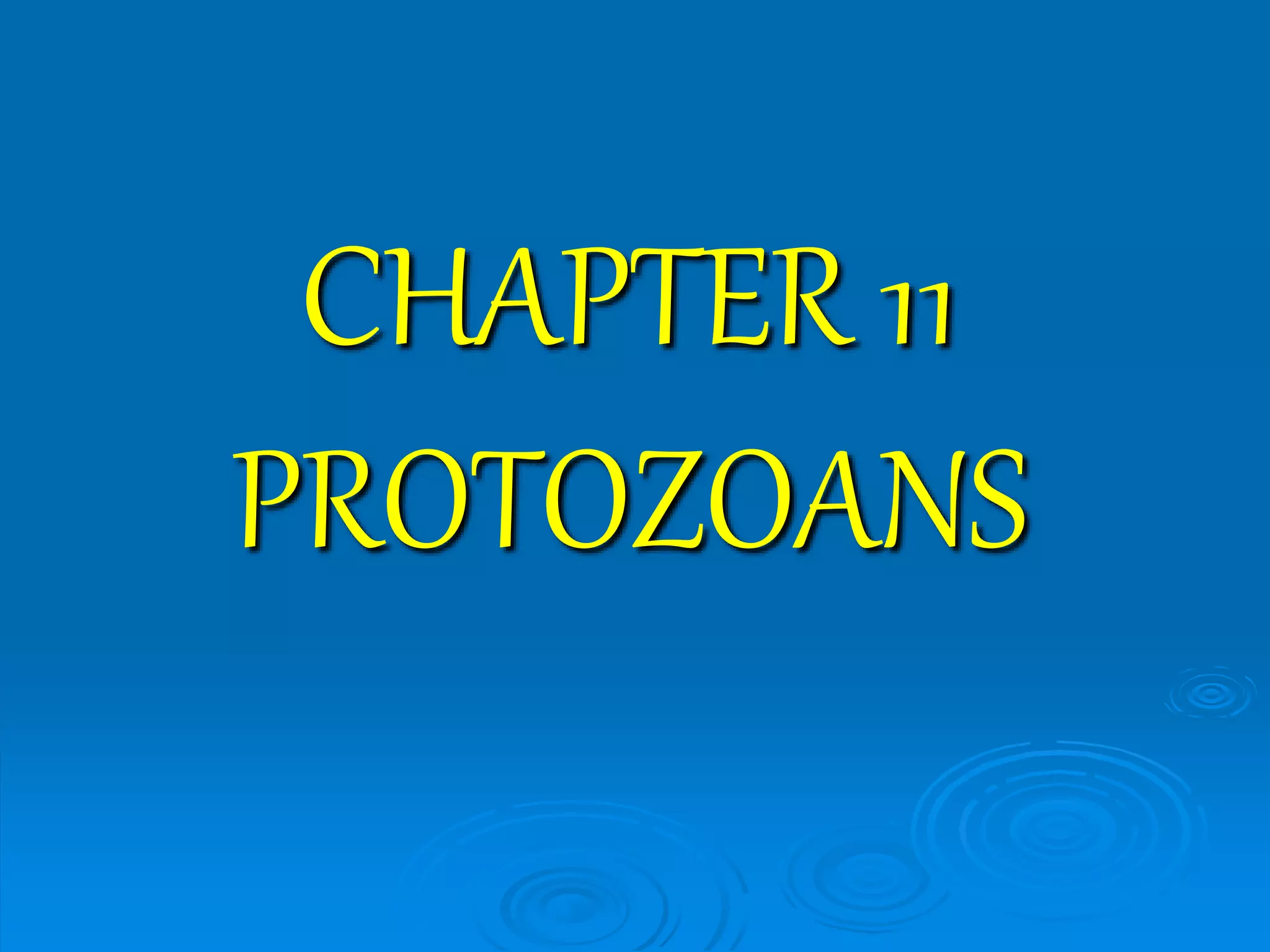 Protozoa1.ppt