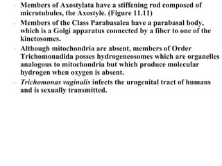 Protozoa and Human Diseases.ppt
