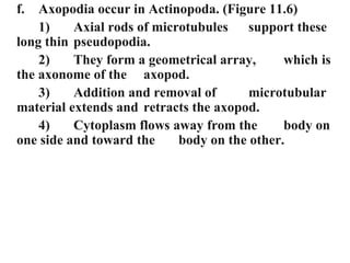 Protozoa and Human Diseases.ppt
