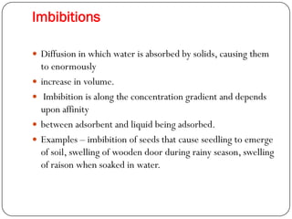 Chapter_11_Transport_in_.Plants Kc Meena | PDF