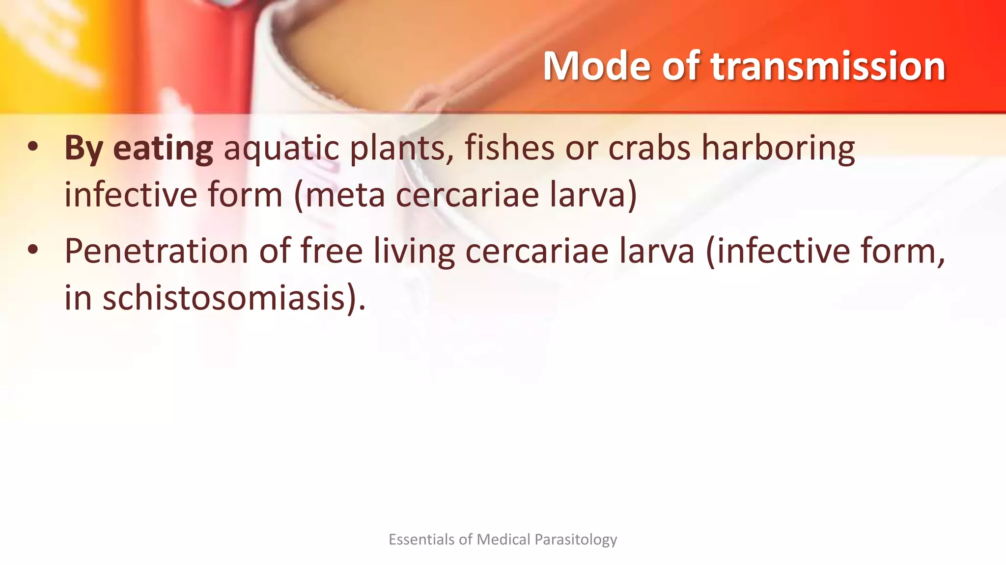 Chapter 11 Trematodes.pptx