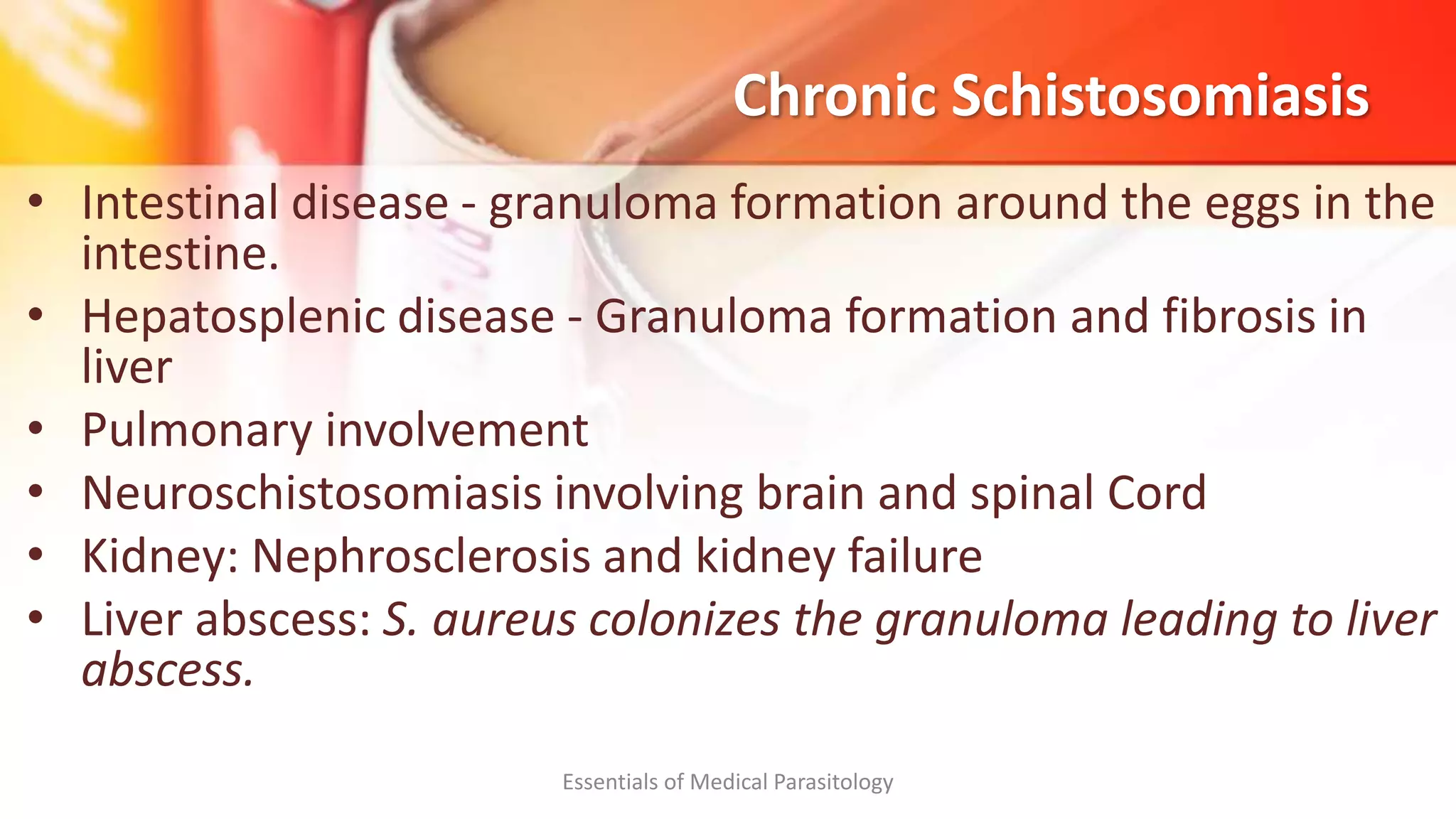 Chapter 11 Trematodes.pptx