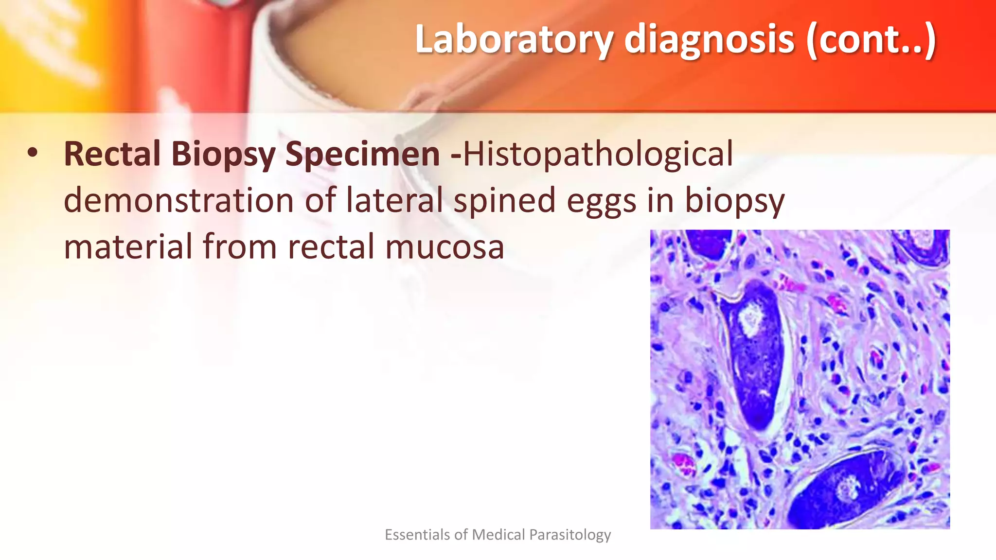Chapter 11 Trematodes.pptx
