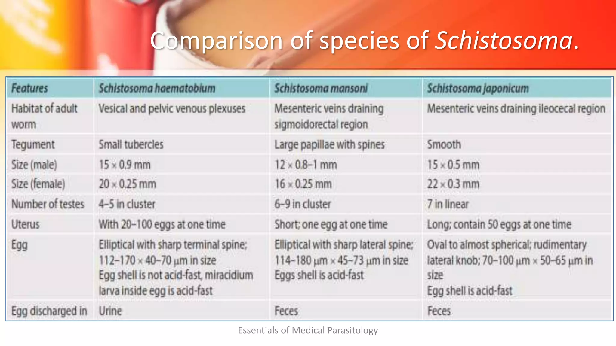 Chapter 11 Trematodes.pptx