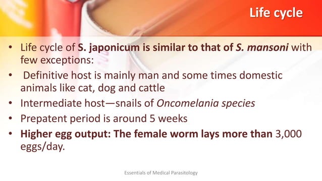 Chapter 11 Trematodes.pptx