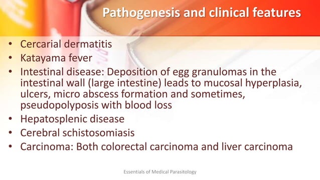 Chapter 11 Trematodes.pptx