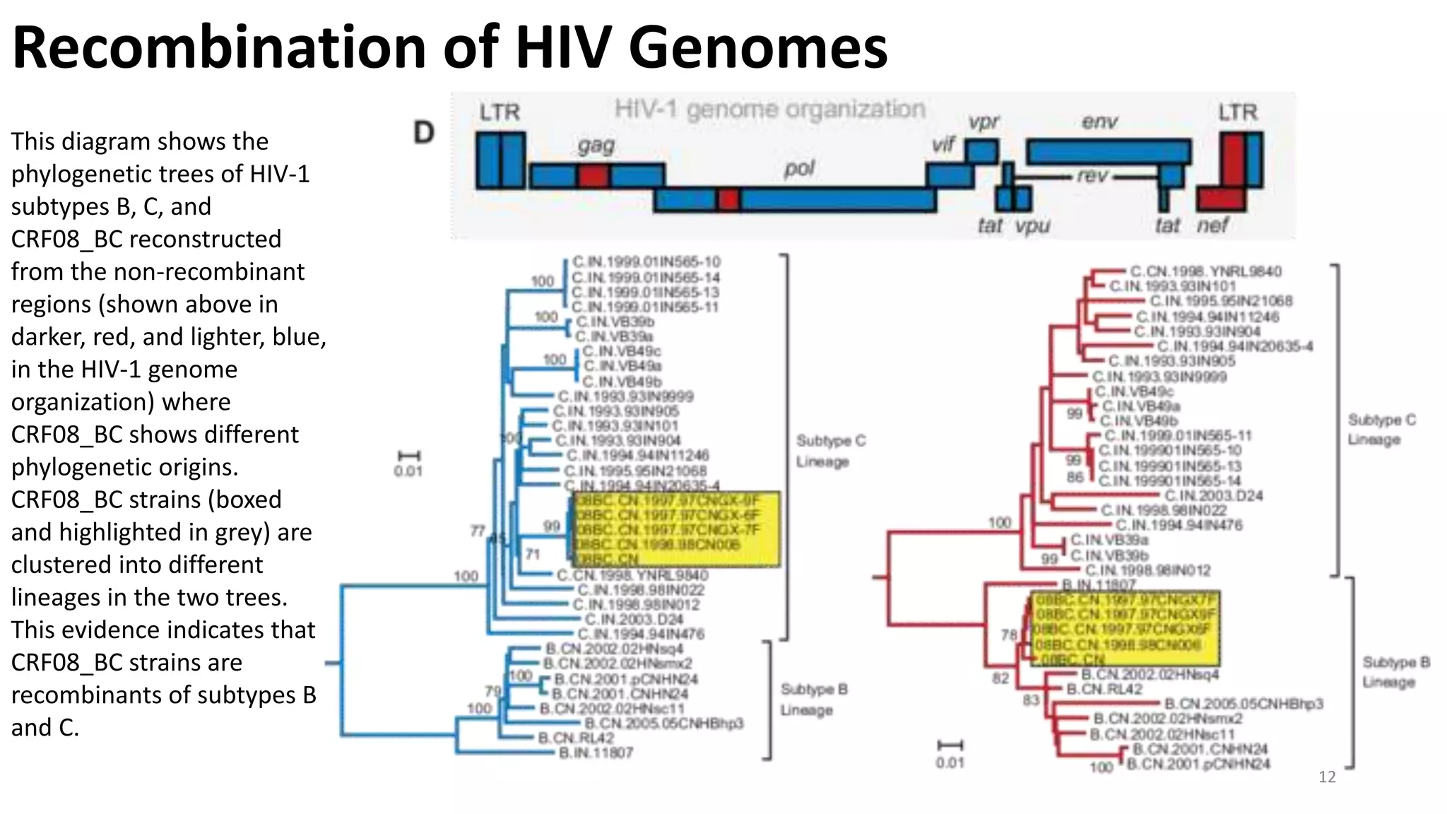 Chapter 11 Virus genetics and mutation.pptx