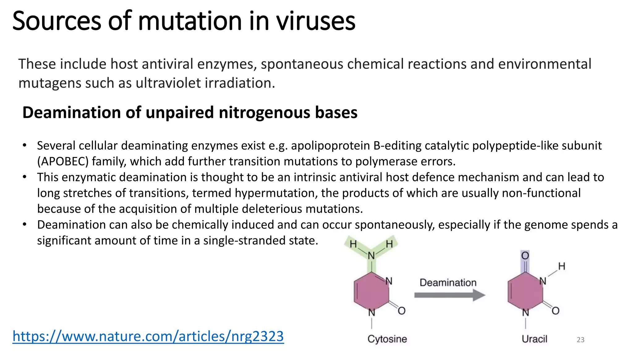 Chapter 11 Virus genetics and mutation.pptx