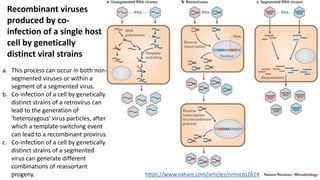 Chapter 11 Virus genetics and mutation.pptx