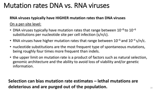 Chapter 11 Virus genetics and mutation.pptx