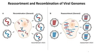 Chapter 11 Virus genetics and mutation.pptx
