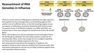 Chapter 11 Virus genetics and mutation.pptx
