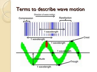 Chapter 11 waves terminology | PPT | Physics | Science