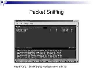 Chapter 12 | PPT | Computing | Technology & Computing