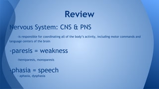 Chapter 12: The Nervous System | PDF